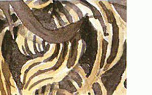 Types of Chicken Feathers: A Complete Guide - Hobby Farms