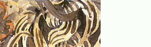 Types of Chicken Feathers: A Complete Guide - Hobby Farms