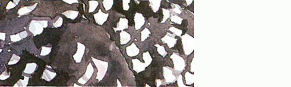 Types of Chicken Feathers: A Complete Guide - Hobby Farms