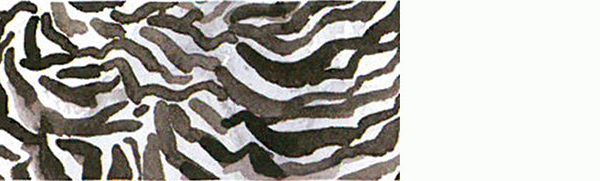 Types of Chicken Feathers: A Complete Guide - Hobby Farms