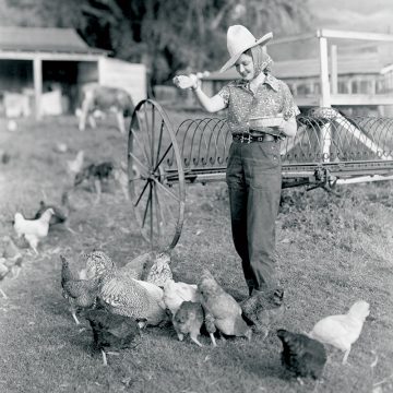 Bawk to the Future: A Century of Chicken-Keeping - Hobby Farms