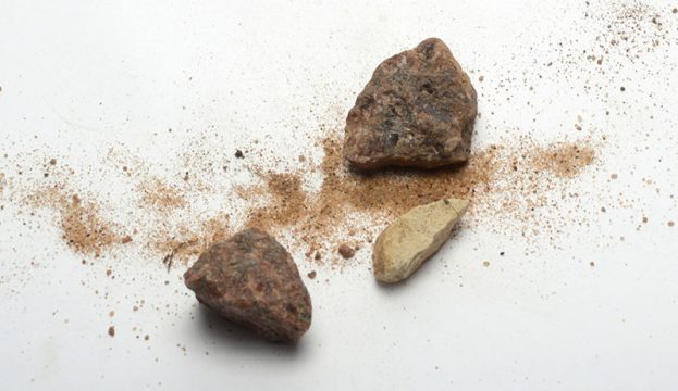 Help! My Chicken Ate Something Terrible - Hobby Farms