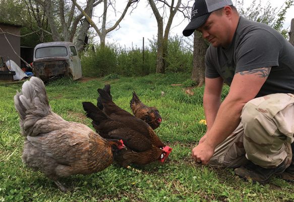 U.S. Military Veterans Work to Restore Heritage Chicken Breeds - Hobby ...