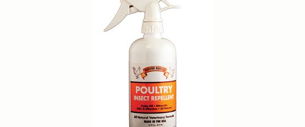 A Mini Farm, Herbal Coop Confetti & Chicken Shoes: 9 Chicken-Themed ...