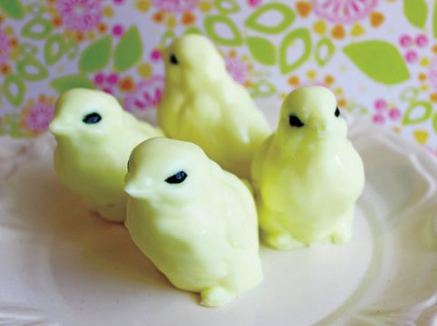 A Mini Farm, Herbal Coop Confetti & Chicken Shoes: 9 Chicken-Themed ...