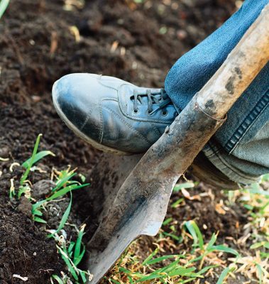 Learn the Basics of Trench Composting - Hobby Farms