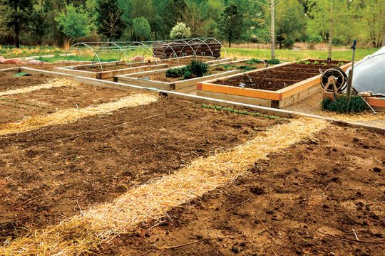 Learn the Basics of Trench Composting - Hobby Farms
