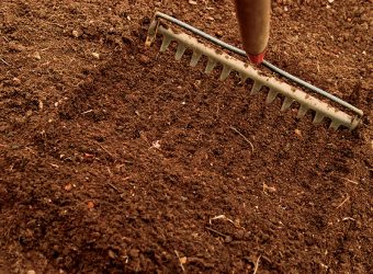 Learn the Basics of Trench Composting - Hobby Farms