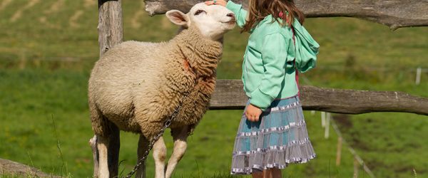 How Play Contributes to Farm Animals' Health & Development - Hobby Farms