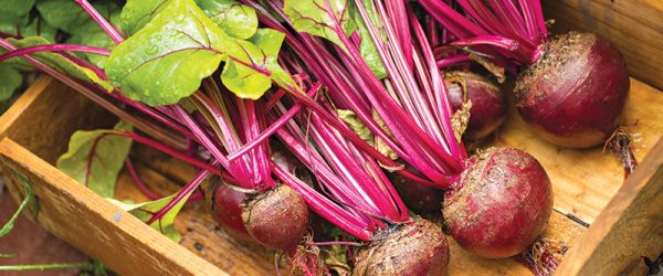 Living Off the Grid: A Guide to Long-Term Produce Storage - Hobby Farms