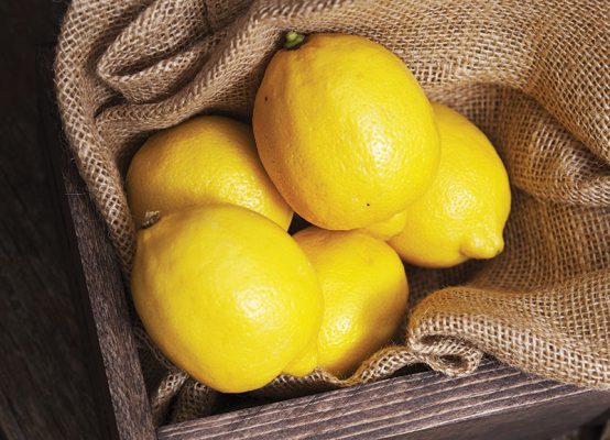 Living Off the Grid: A Guide to Long-Term Produce Storage - Hobby Farms