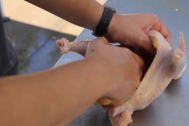 Poultry Science: Tips on Processing Broiler Chickens - Hobby Farms