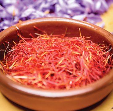 Cutting-Edge Crops: How to Grow and Sell Saffron - Hobby Farms