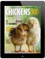 Chickens 101 - Hobby Farms