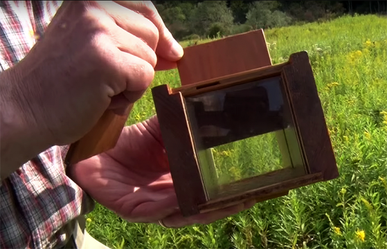 Bee Hunting: A Modern Twist on an Old Practice - Hobby Farms