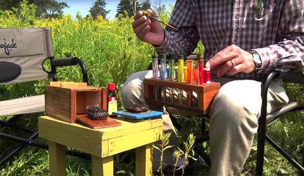 Bee Hunting: A Modern Twist on an Old Practice - Hobby Farms