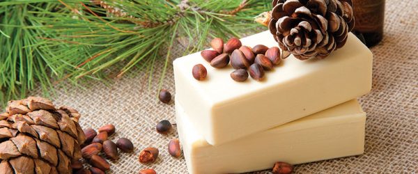 A Guide to Foraging for Medicinal Plants - Hobby Farms