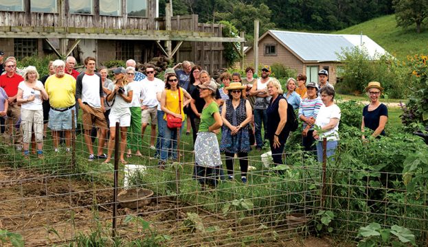 A Passion for Pigs Drives This Farmer & Businesswoman - Hobby Farms