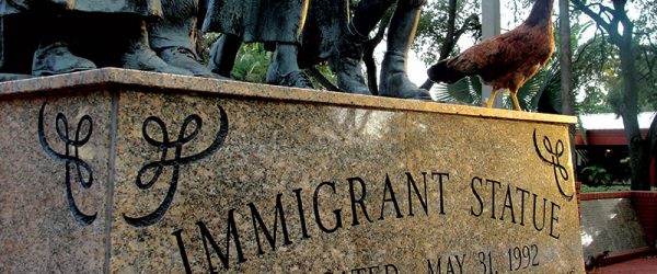 Meet the Favored Florida Fowls of Ybor City - Hobby Farms