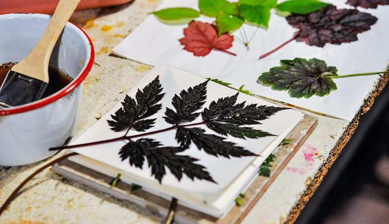 3 Ways To Make Prints With Leaves Hobby Farms