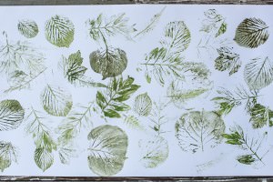 3 Ways To Make Prints With Leaves - Hobby Farms