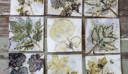 3 Ways To Make Prints With Leaves - Hobby Farms
