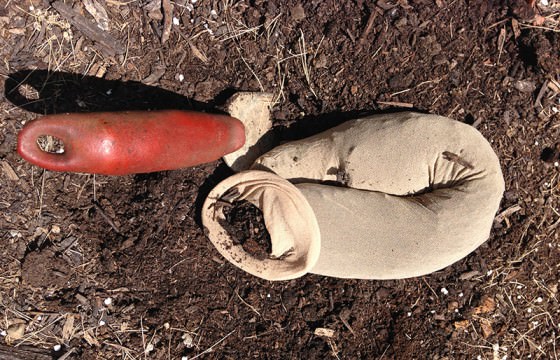 6 Garden Hacks That Reuse Nylon Stockings - Hobby Farms